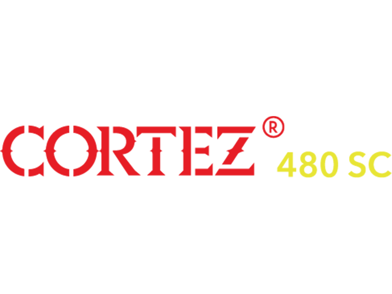 Cortez 480 SC 50ml