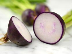 Rotkva lilavo (50 semenki) Malaga purple