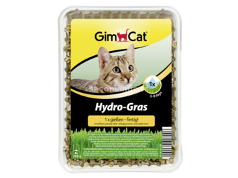 Gimcat Hydro-Gras - hidrirana trava za mačke 100g