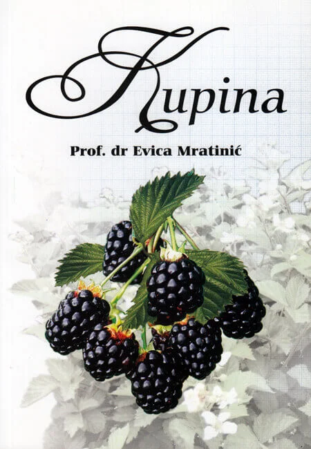 Kupina – Prof. Dr Evica Mratinić