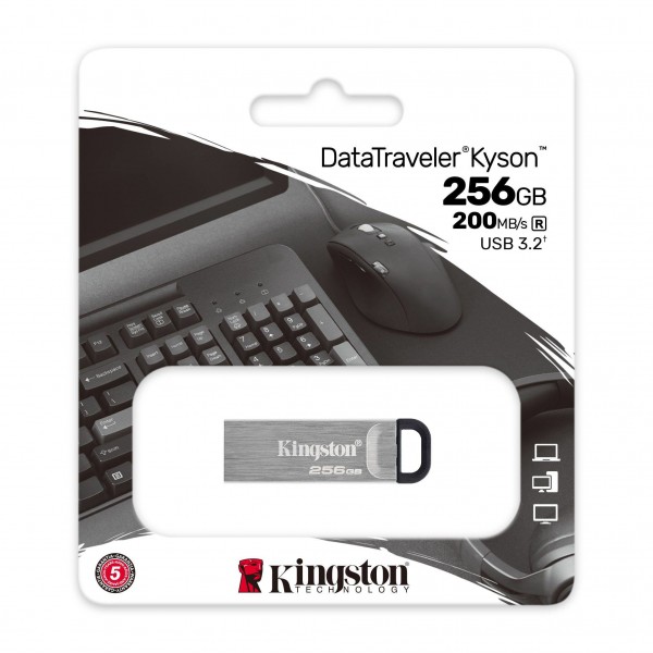 Kingston 256GB DTKN/256GB