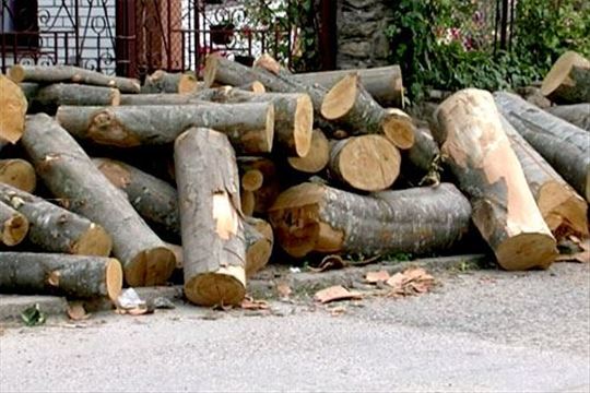 Cepana drva Beograd Čukarica