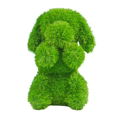 Aniplants pas sedi baštenska dekoracija, 35 cm