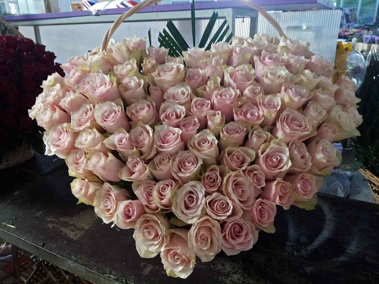 Korpa sa 101 roze ružom 192