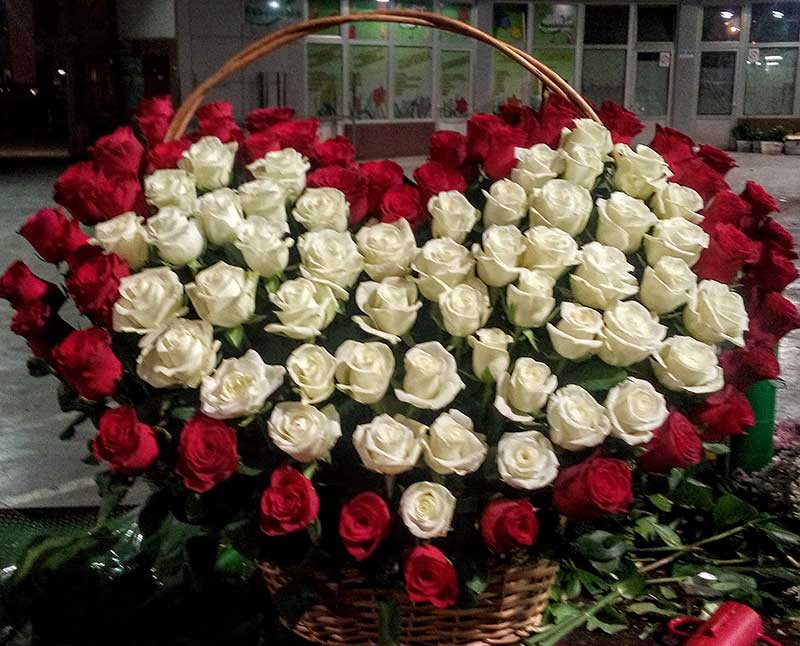 Korpa srce sa 101 belom i crvenom ružom 187