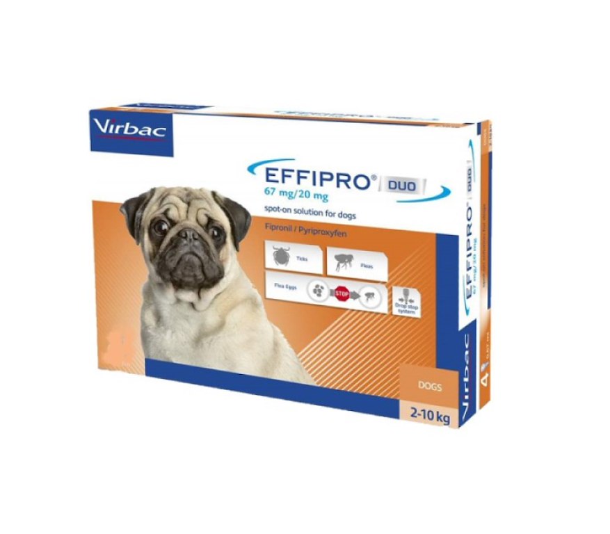 Effipro duo 2-10kg za male pse