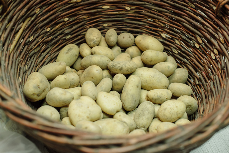Beli krompir organik | kg