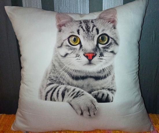 Dekorativni jastuk - Mačak pozer