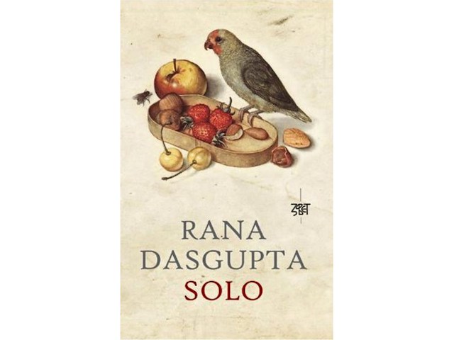 Solo - Rana Dasgupta