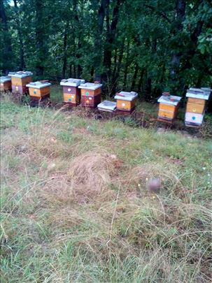 Prodaja košnica sa pčelama i medom