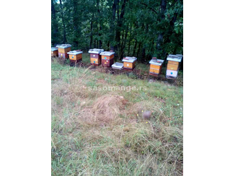 Prodaja košnica sa pčelama i medom