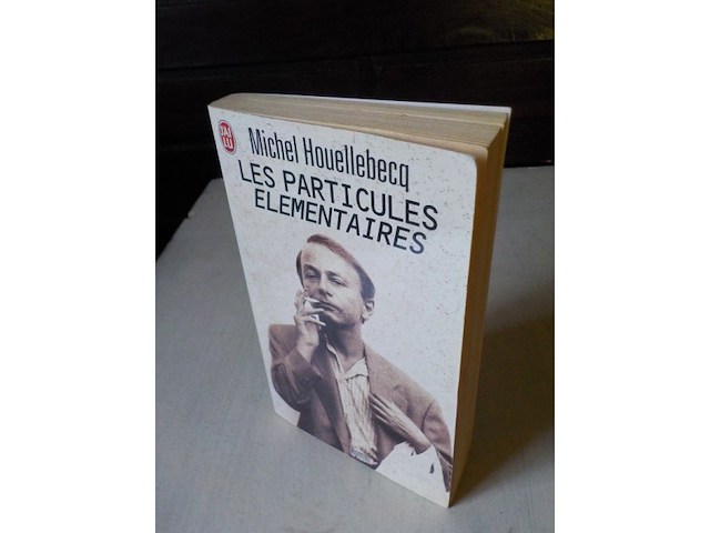 Michel Houellebecq - Les Particules Elementaires