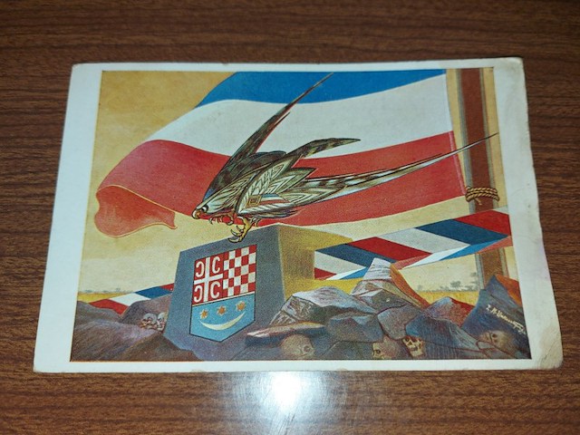 Originalna razglednica  Zubski slet  1927 autor Inkiost