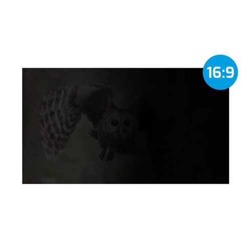 Natec NFP-1477 OWL, Privacy Filter for 23.8" Screen, 16:9, 528 x 297 mm