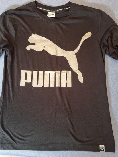 Puma majica 2 kom =999