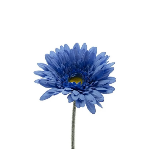 Veštački cvet gerber 64cm, plavi