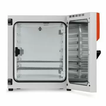 Inkubator Binder BD 260, prirodna konvekcija, 253 l, 100 °C