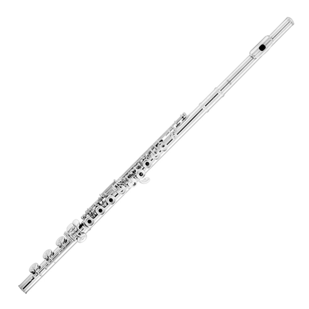 Haynes Amadeus 600 RCEO flauta