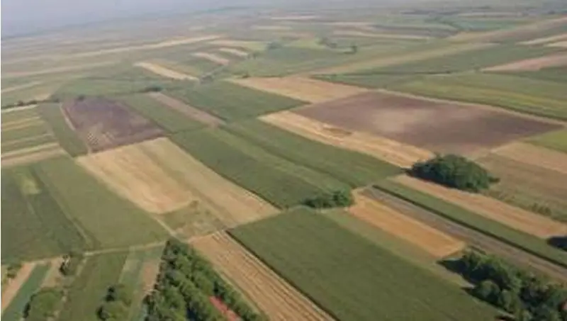 Poljoprivredno zemljište, Krčedin, 794.71ari