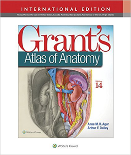 Grants Atlas Of Anatomy 14E (Int Ed) Pb