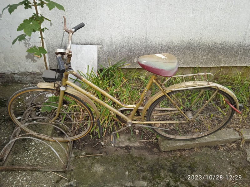 Rog bicikl