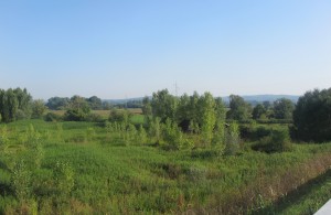 Prodajem Poljoprivredno Zemljište, Latković