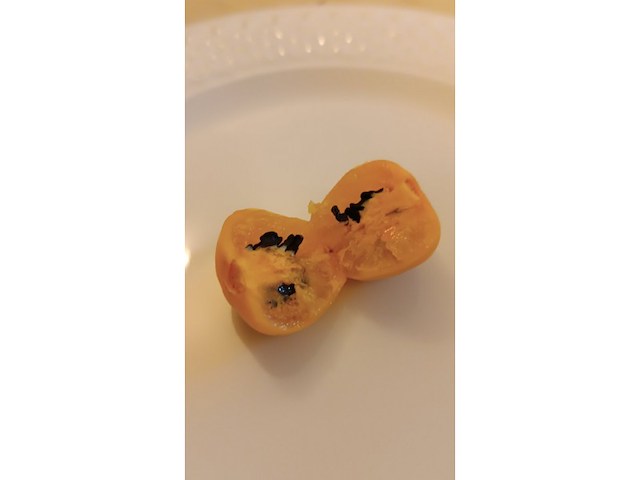 Chili Mini Rocoto orange