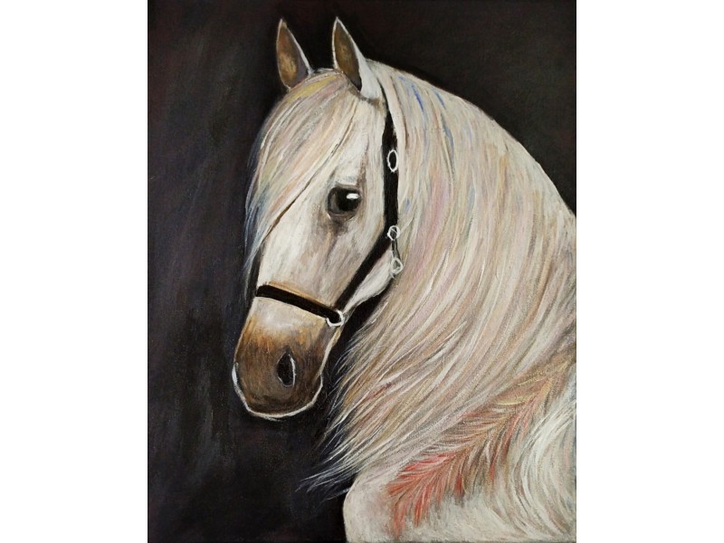 Umetnicka slika "Konj"