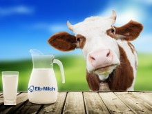 Potrebni radnici u mlekari