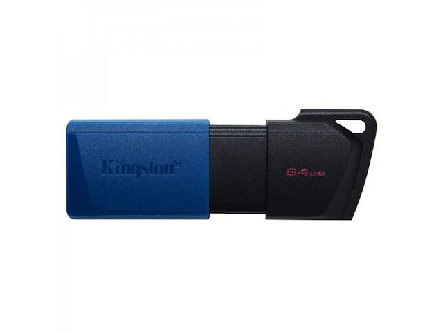 USB memorija KINGSTON DTXM/64GB