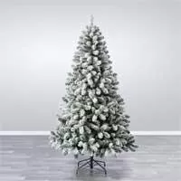 Novogodišnja jelka visine 210cm Evergreen Snowy Oxford Pine