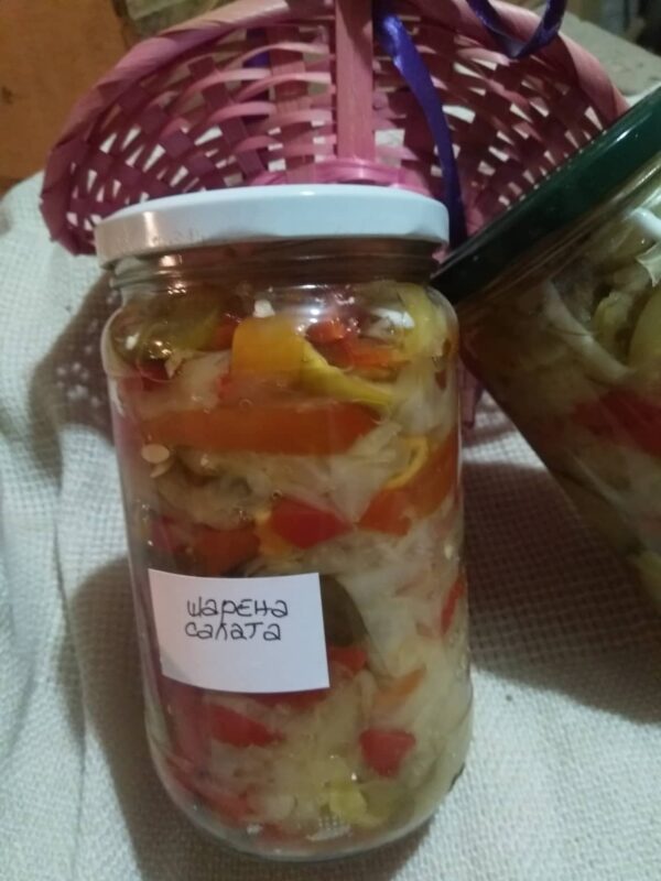 Šarena salata 0,720 ml, Goca Vasić