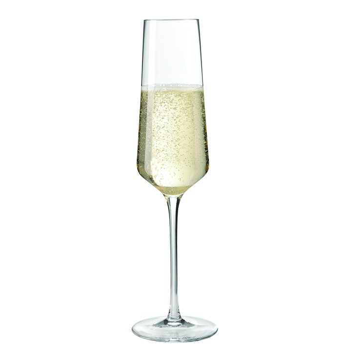 ČAŠA ZA ŠAMPANJAC PUCCINI – Champagne glass PUCCINI