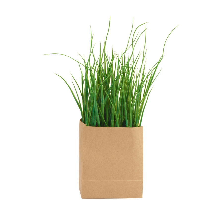 DEKORACIJA – GRASS in Paper Bag