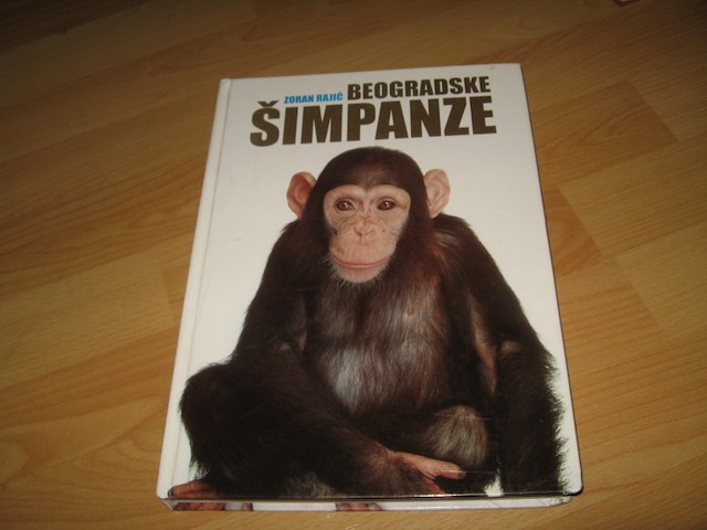 Beogradske šimpanze - Zoran Rajić