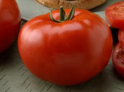 Seme,Big Beef paradajz(Profesional hibrid)-Rani,ukusni 200-250gr.