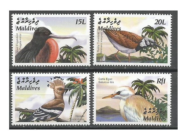 Maldivi,Fauna-Ptice 2003.,čisto