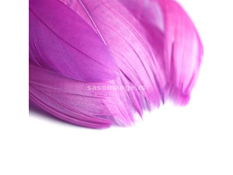 Dekorativno perje 190 kom - izaberite boju (kreativni pribor)