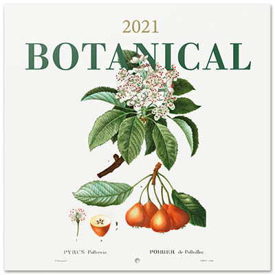 Kalendar 2021 - Botanical