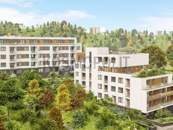 Savski venac, Dedinje, Miće Orlovića, 3.0, 49m2, 206408 EUR