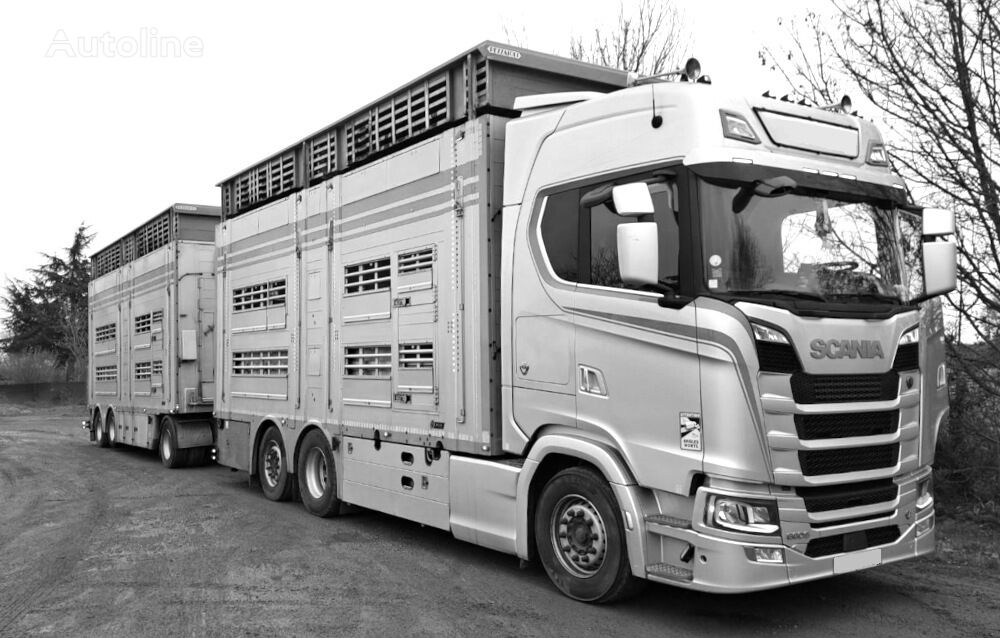 Scania S650 for cattle - do zwierzat kamion za prevoz stoke + prikolica za prevoz stoke