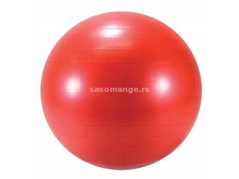 Ledrapastic Lopta Body ball 55