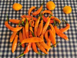 Orange Chili Bananica(kupis 2x + 1gratis)-Srednje ljuta(vrlo ukusna)...