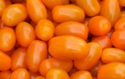 Orange Chery(San Marzano Mini)-Ekstra slatka Italijanska sorta..