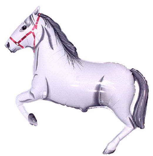 Konj beli 40″