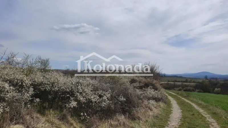 Poljoprivredno zemljište od 5 h u Rogači, Kosmaj, Sopot ID#2623