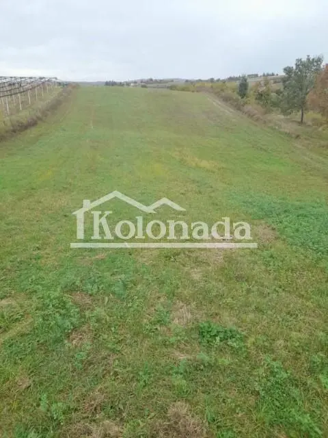 Poljoprivredno zemljište u Nemenikućama, Sopot, Kosmaj ID#12323