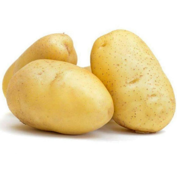 Semenski krompir Agria beli 10kg