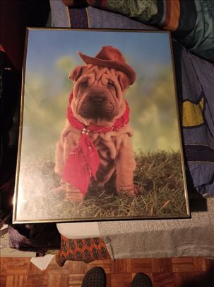 Slika psa, 50x40 cm