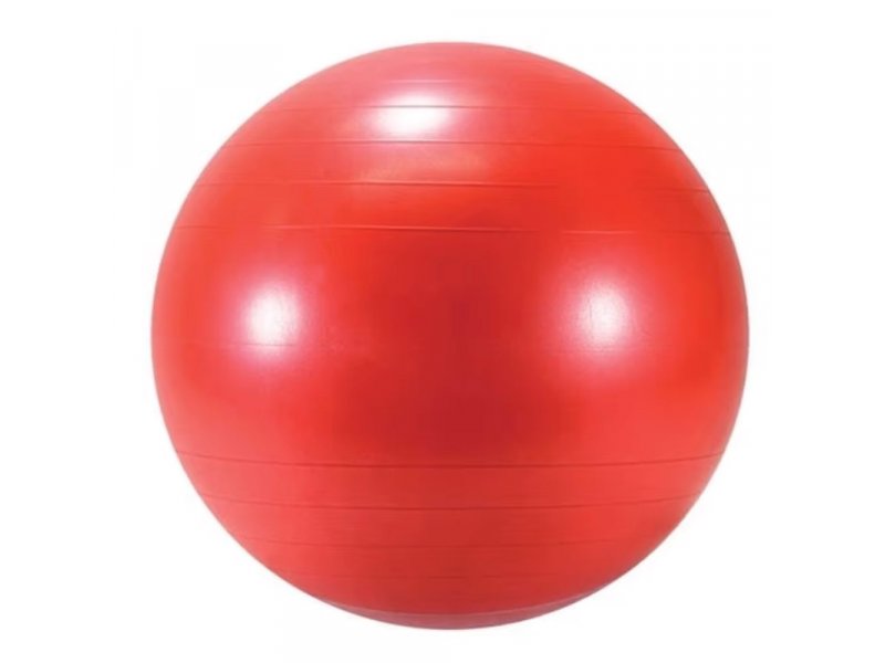 LEDRAPLASTIC Lopta Body Ball 55